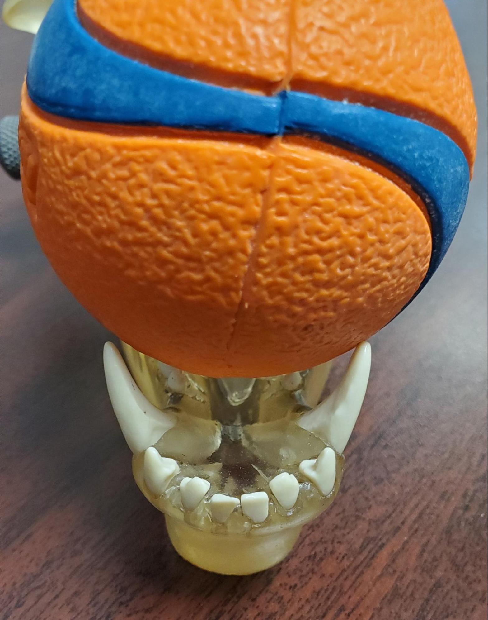 Ball Therapy - Vet Dent Edu